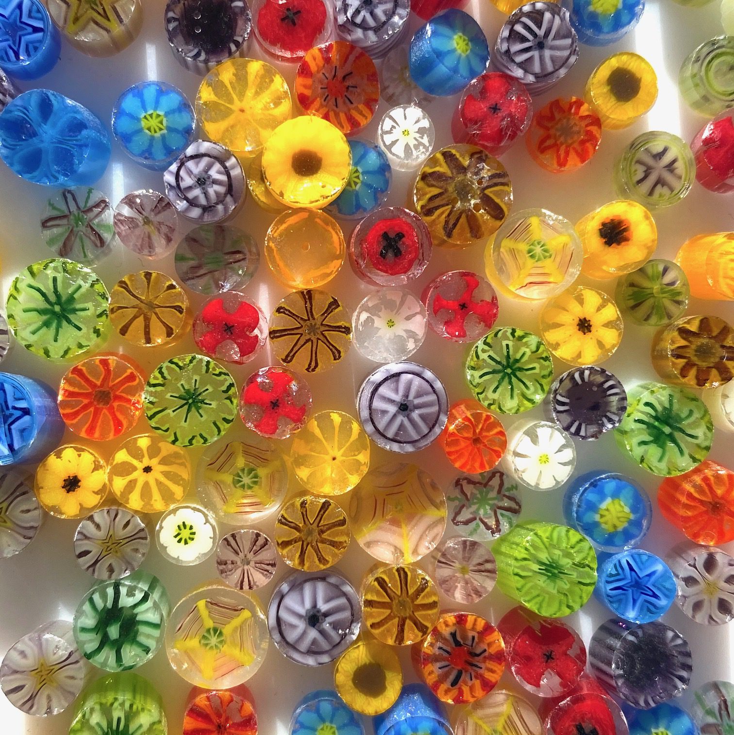 Murrine - Flowers - Mix - 96COE | Buy Online | Tabitha's Glass Emporium
