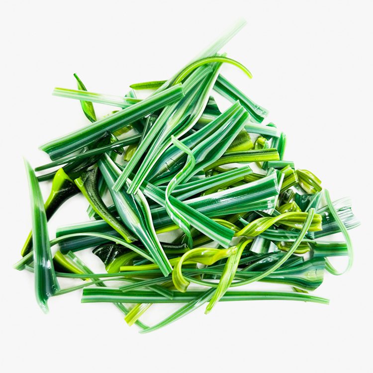 Vitrigraph Glass Stringers - Shorts - 90COE | Buy Online | Tabitha's ...