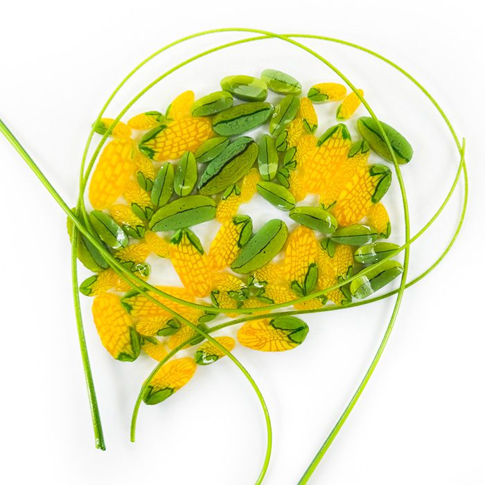 Murrine - Mixed Size - Corn Sheath - 90COE | Buy Online | Tabitha's ...